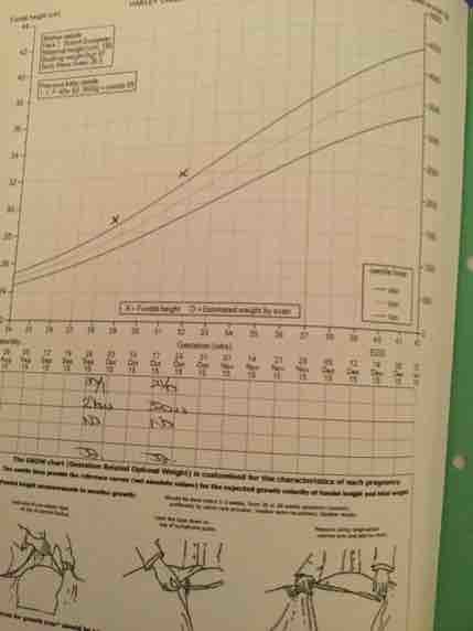 Anyone else measuring above the 90th centile line?