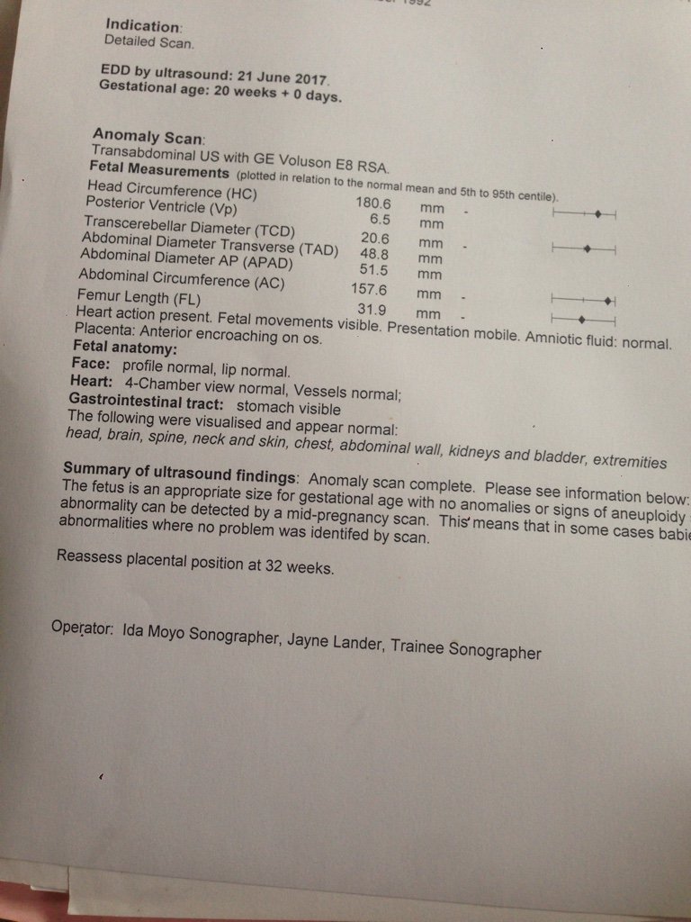 20 Week Anatomy Scan Results Anomaly Scan Report Normal (20 24 Weeks)