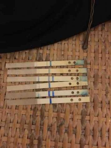 Please share your early bfp test results