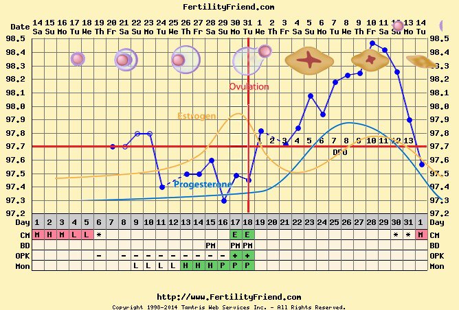 Could this be ovulation? Picture attached