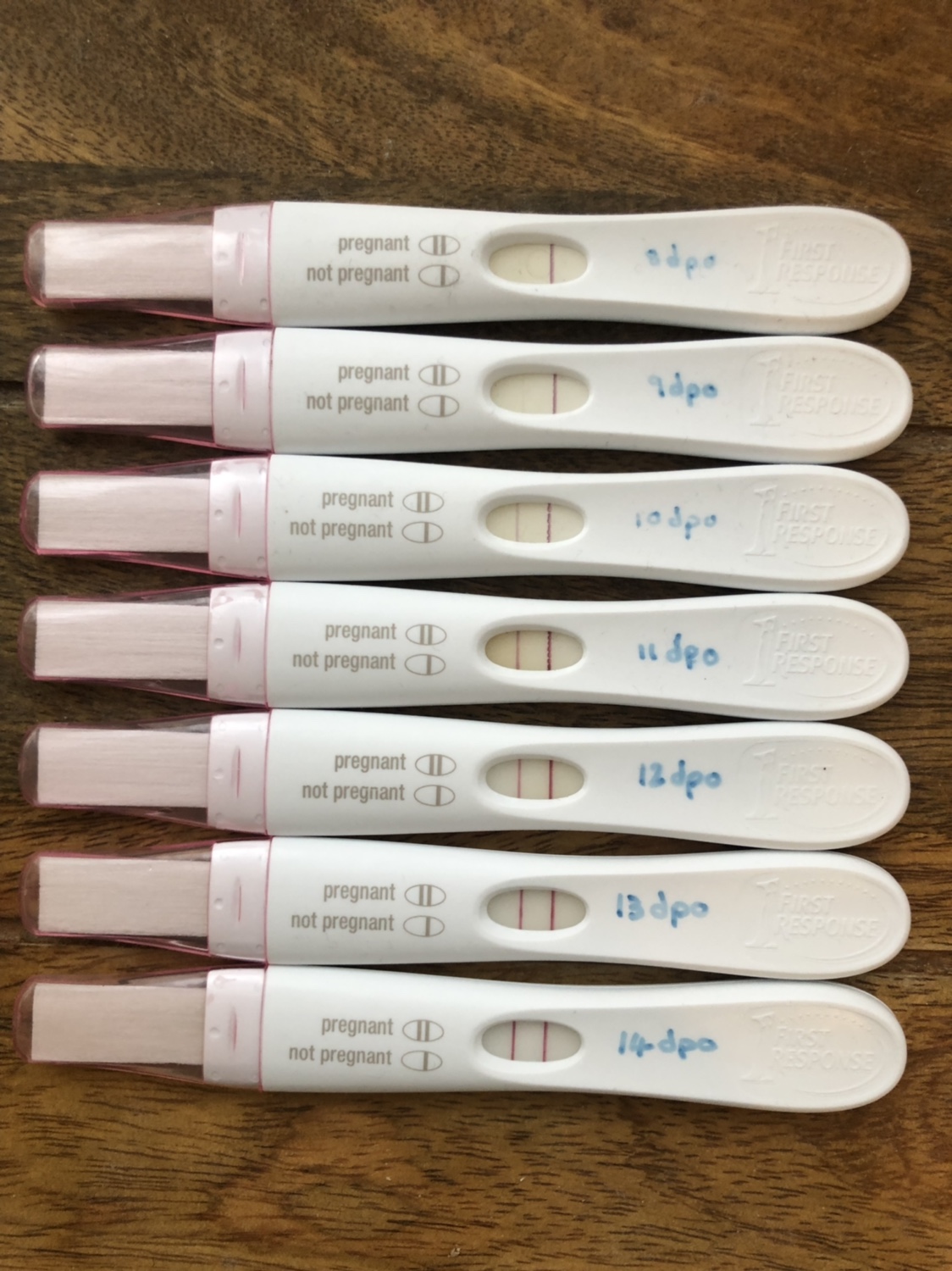Post your lovely bfp line progressions