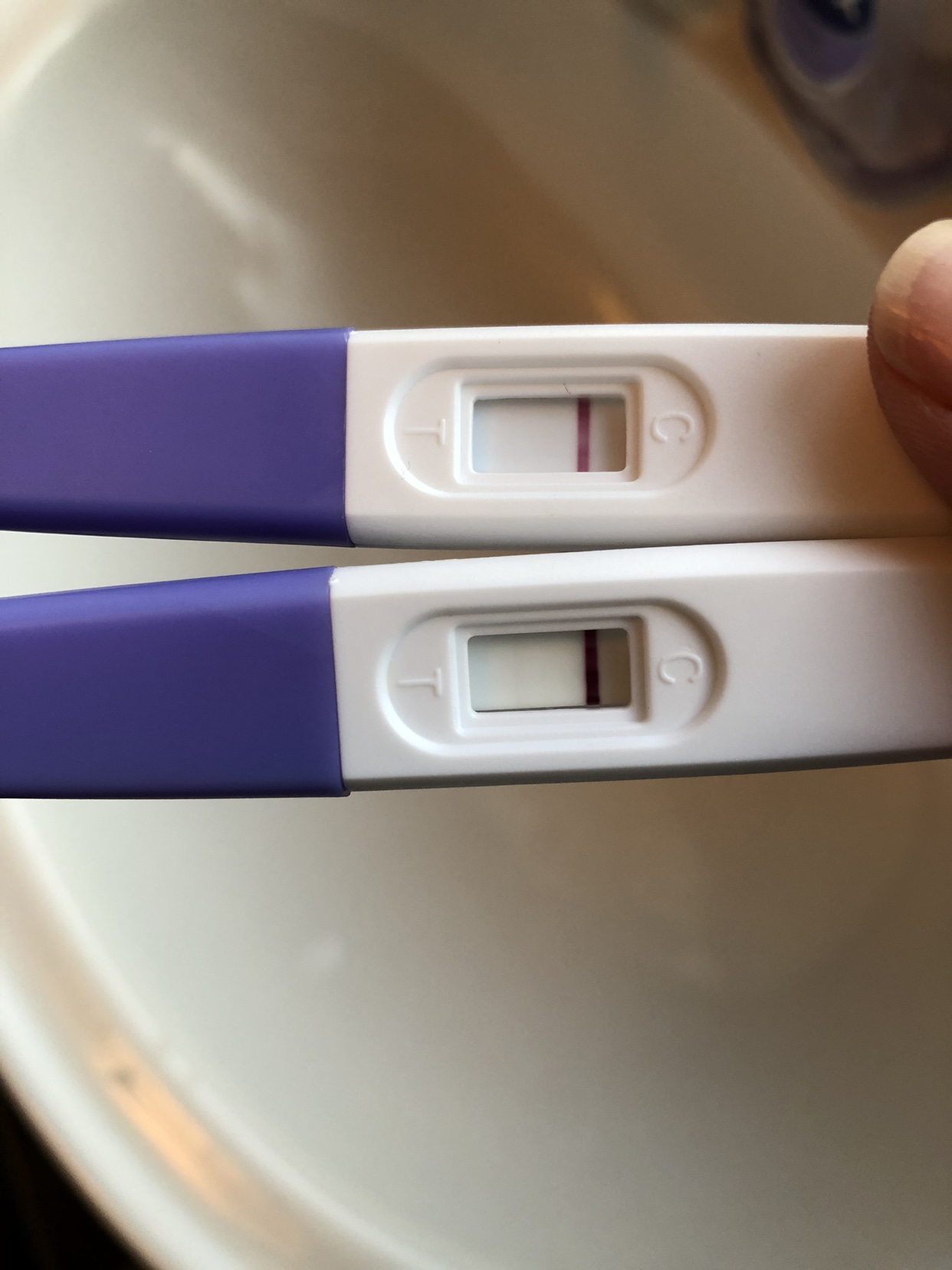 Wilko’s Test. Wee v’s Water