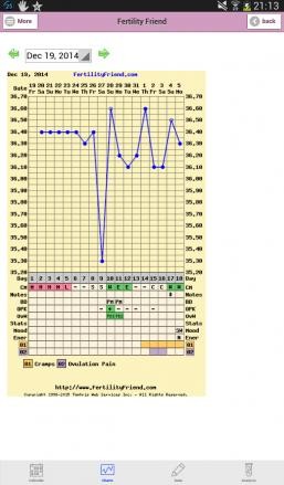 Pregnancy Bbamp T Chart Examples