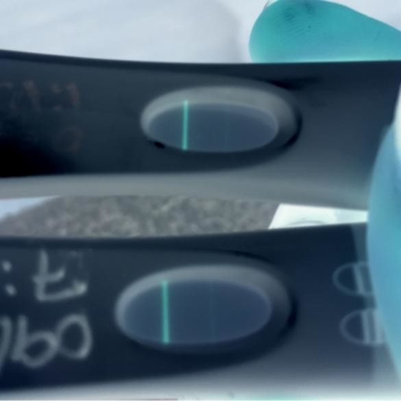 FRER False positives?