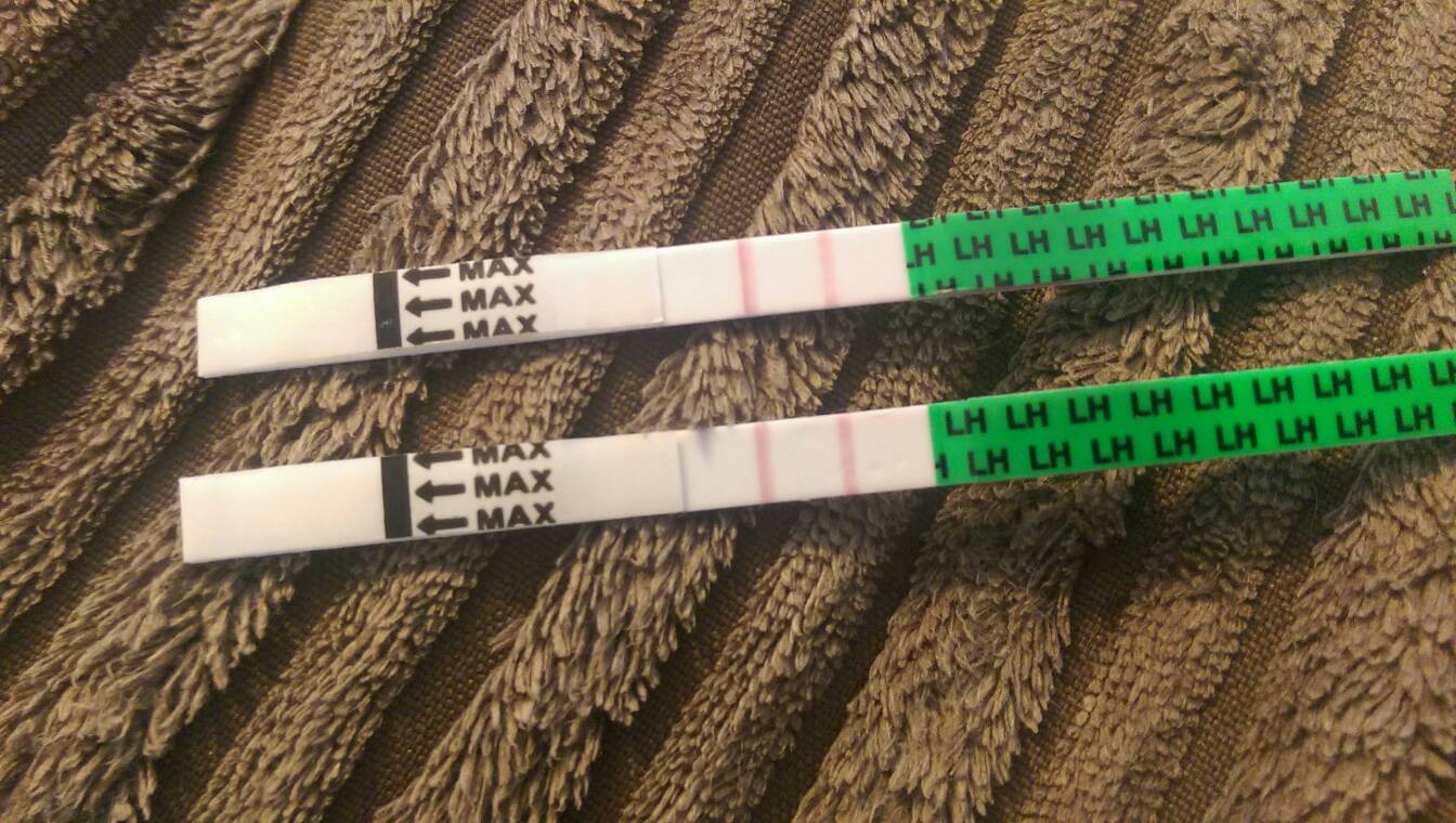 Negative clear blue opk positive cheapier?