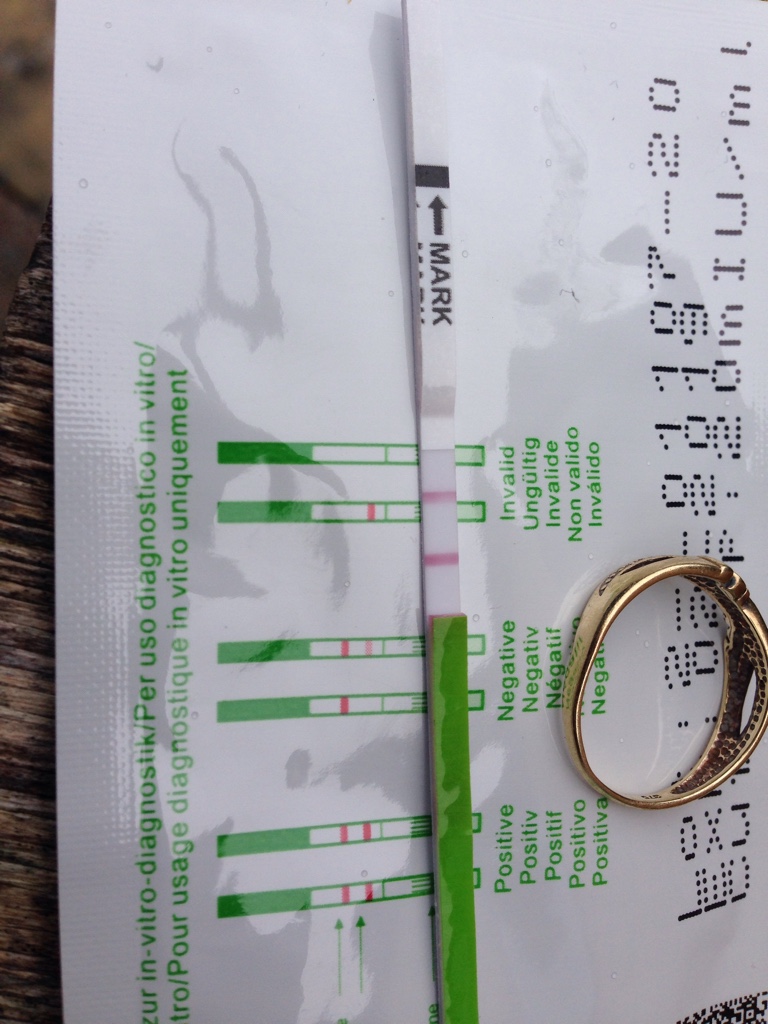 14dpo positive opk test