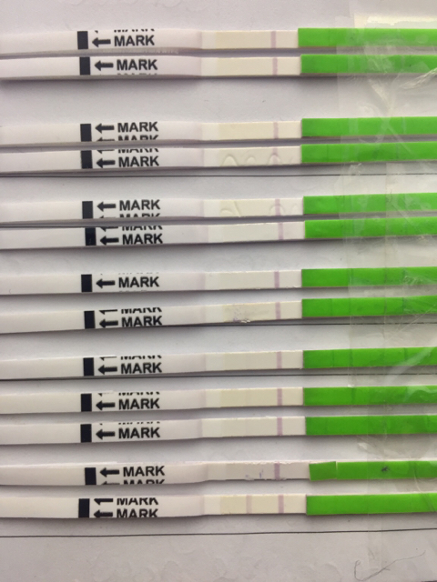 Positive OPK? First month TTC please help!