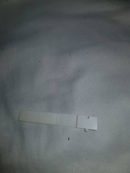 Pink evap line on FRER?