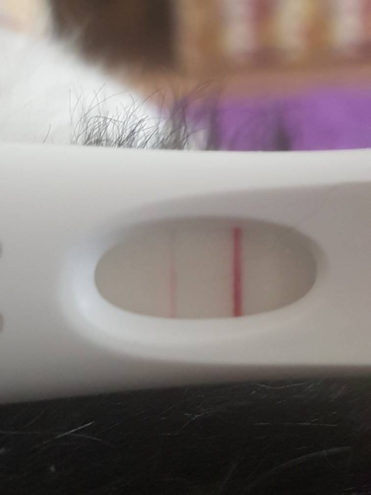 Help! Is this positive!??? Jump on for help