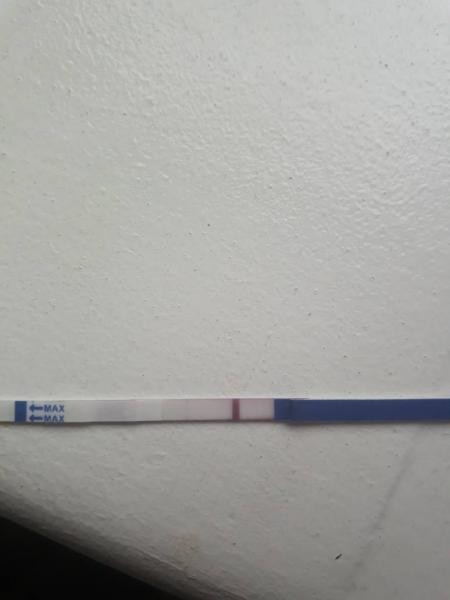 Faint bfp??