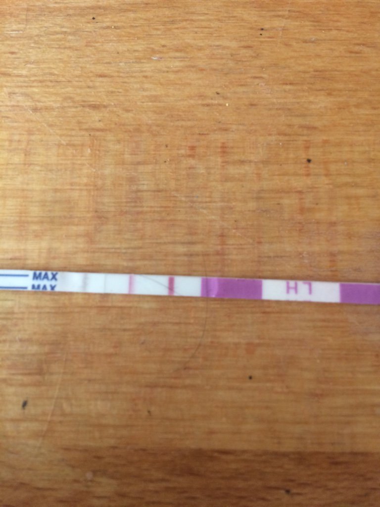 Positive opk?
