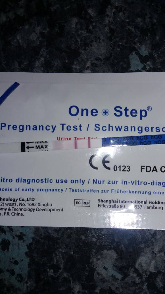 One Step Pregnancy Tests