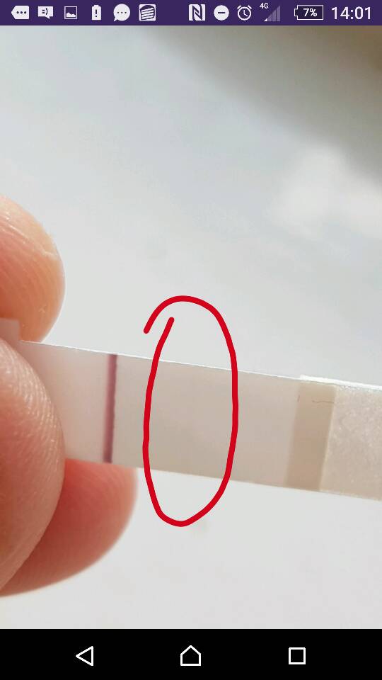 First Response Evap Lines?