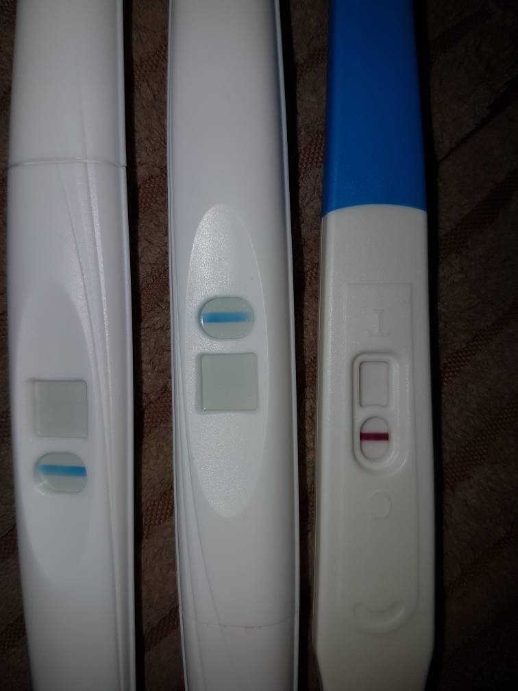 Very faint BFP on 3 x cheapy tests but clear blue neg