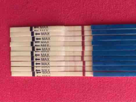 Tesco pregnancy tests-how accurate?