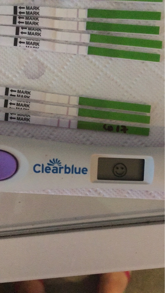 Ovulation progression line