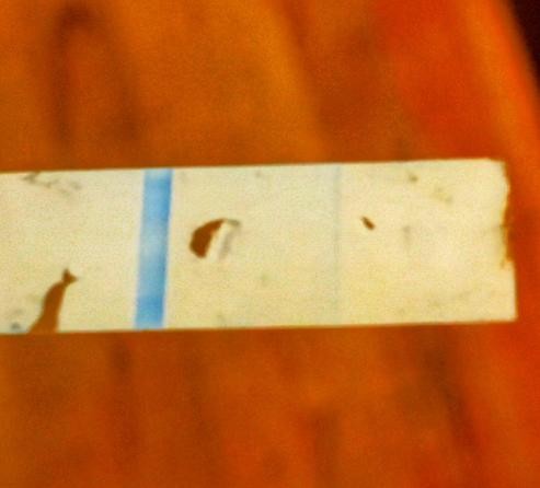 can frer give u evap lines??