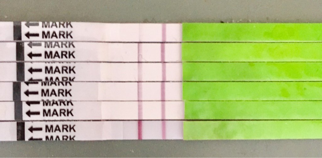 Using OPKs as HCG tests: results
