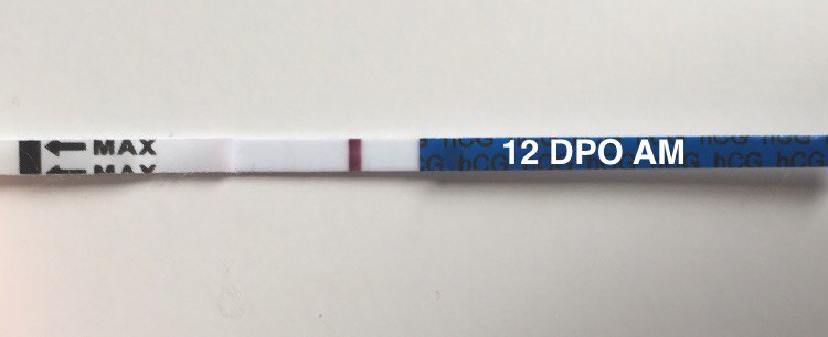 Keeping everything crossed!!