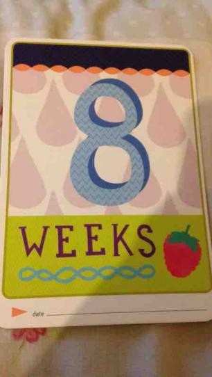 8 weeks today.. Buddies!