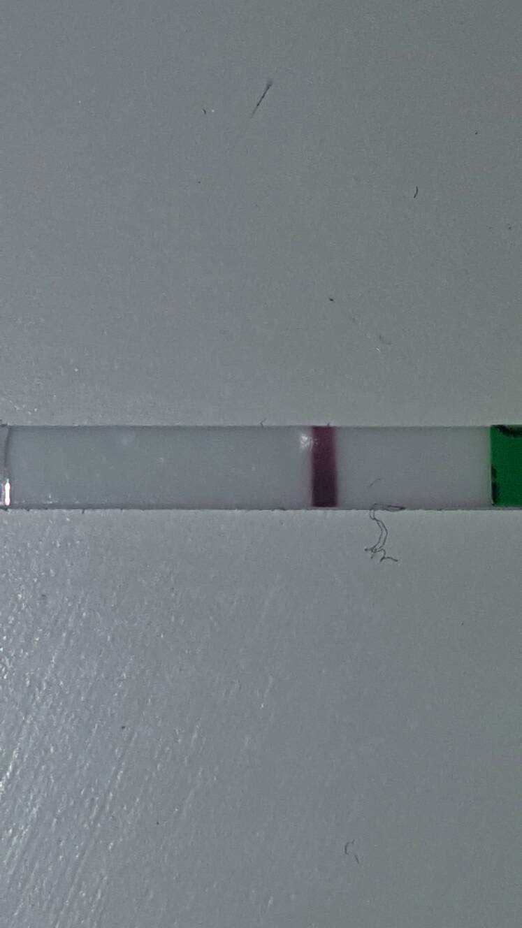 can anyone else see a line?