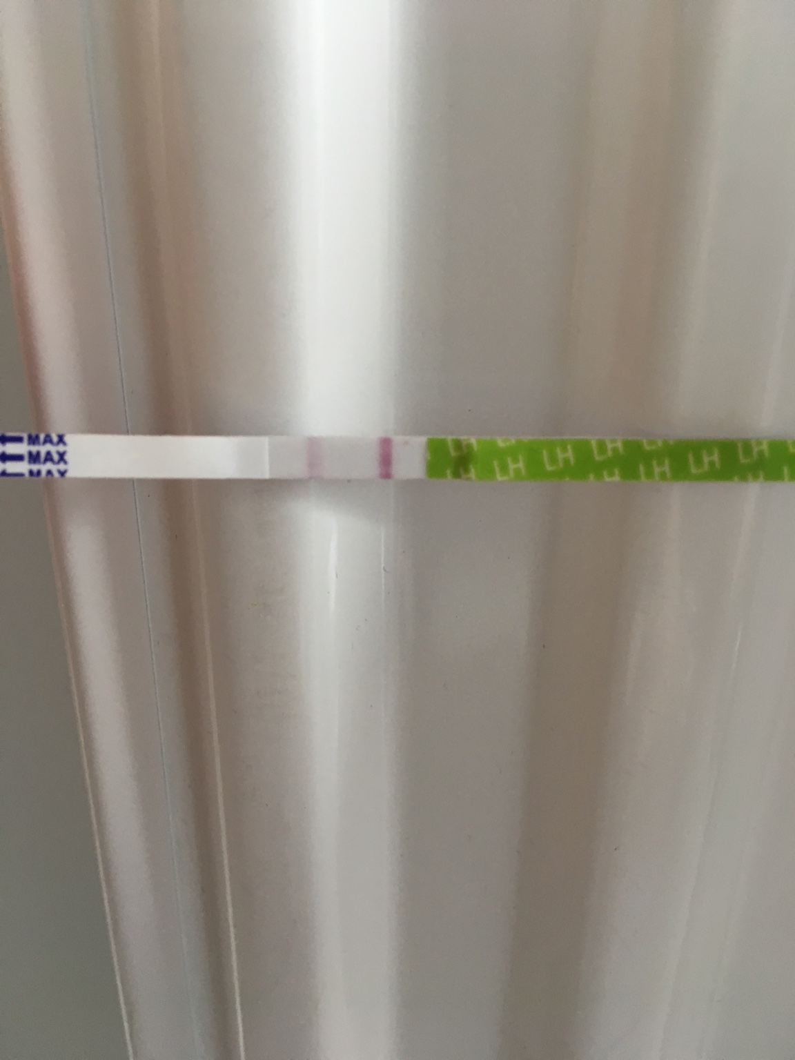 Opks....how close to positive is this?