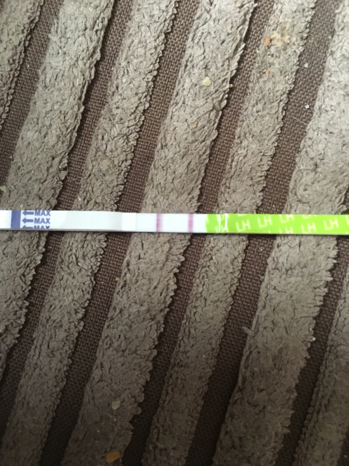 Opks....how close to positive is this?