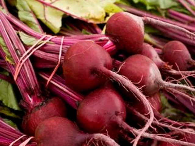 Décembre : fruits, légumes et poissons de saison