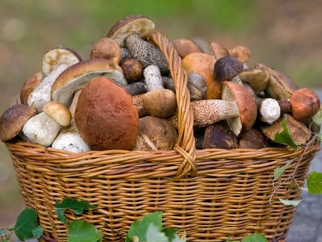Fruits et légumes d’automne